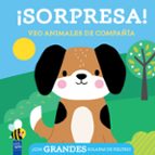 ¡SORPRESA! VEO ANIMALES DE COMPAÑÍA | YOYO | Yoyo | Casa del Libro Colombia