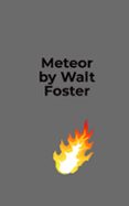 METEOR APPROACH | Casa del Libro